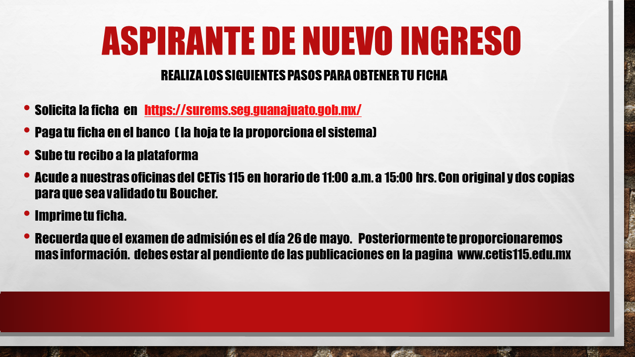 CETMEJA | CETis No. 115